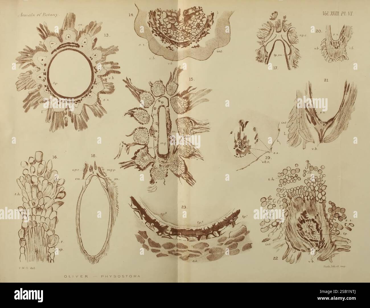 Labeled figure captures different aspects hi-res stock photography and ...