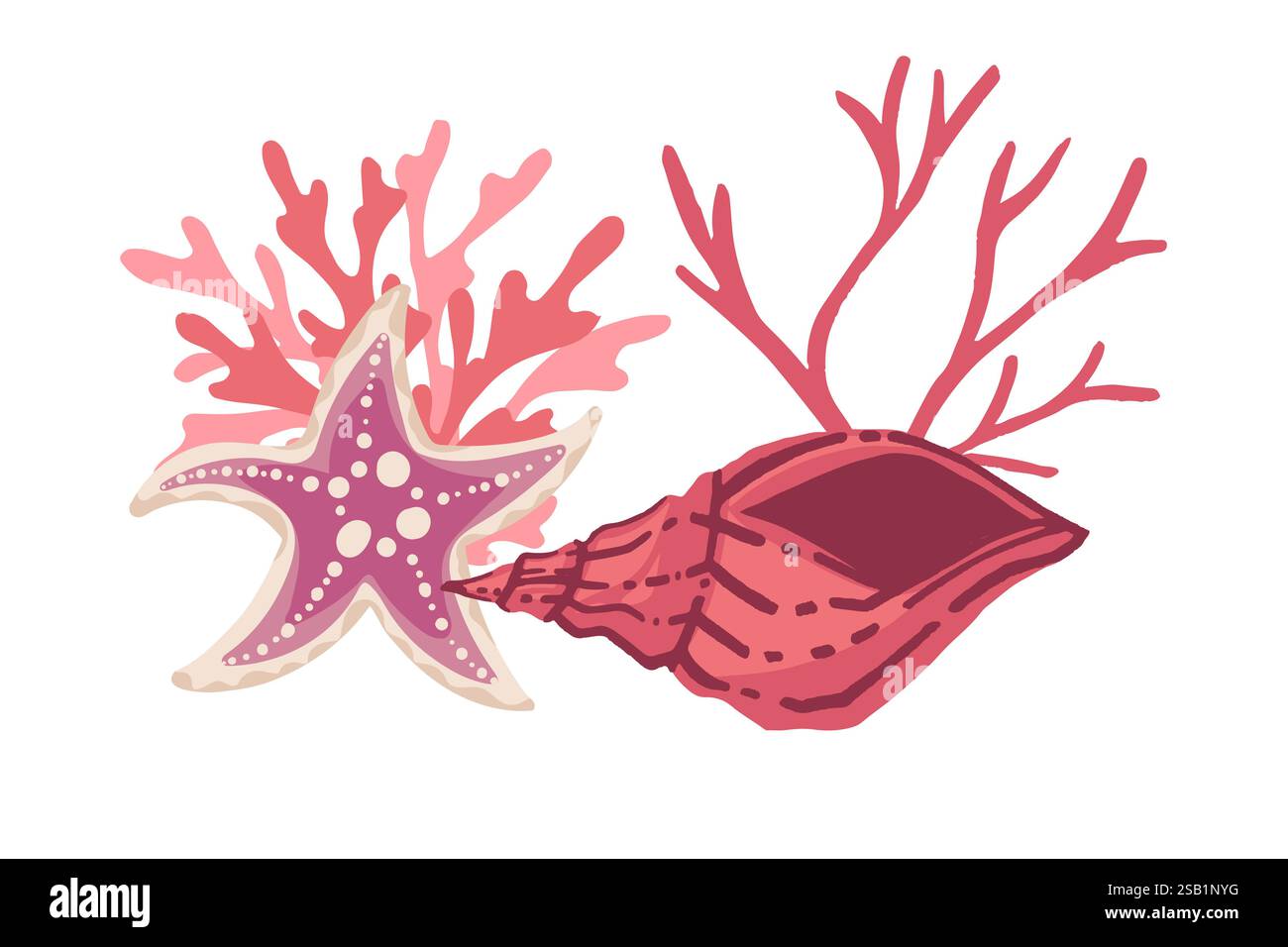 Colorful Marine Life An Illustration Featuring Coral, Shells, and ...