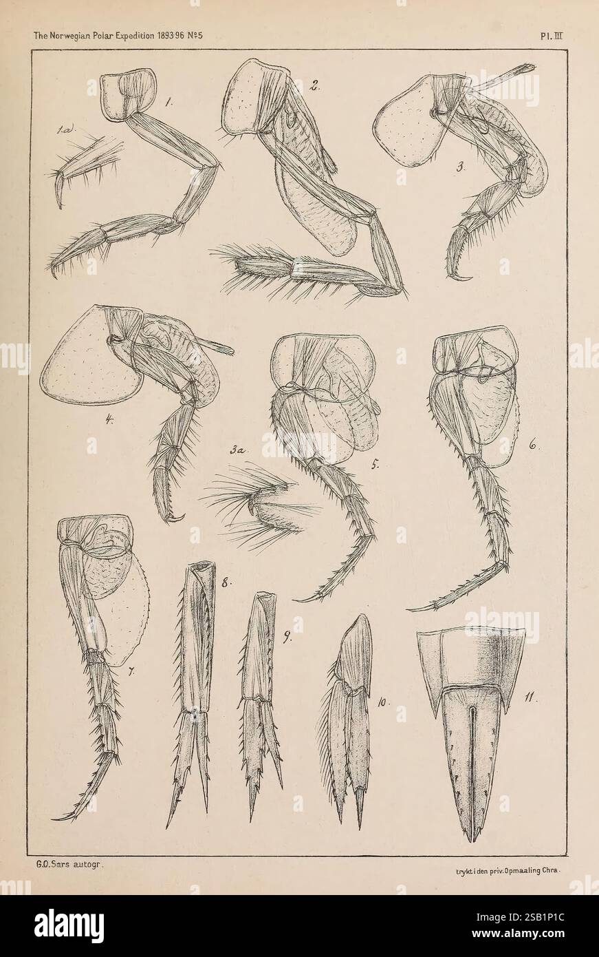 The Norwegian North polar expedition, 1893-1896, Christiania, J. Dybwad ...