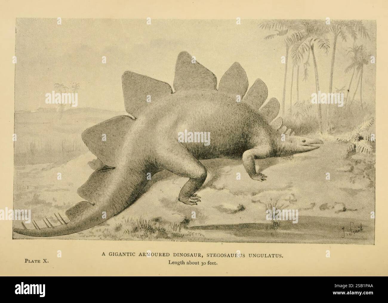 Extinct, monsters, London, Chapman & Hall, 1896, extinct, animals ...