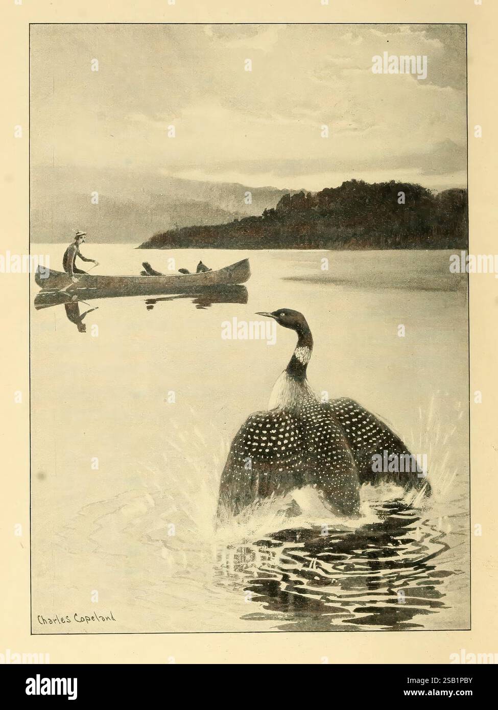 Wilderness Ways, Boston, U.S.A, Ginn & Company, 1900, mist, lake, canoe ...