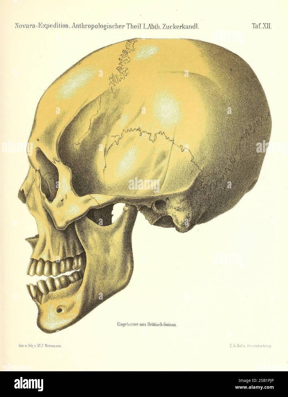Reise der österreichischen Fregatte Novara, Wien, Kaiserlich, 1861-75 ...