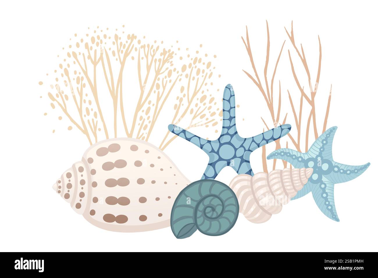A beautifully illustrated depiction of colorful ocean shells and ...