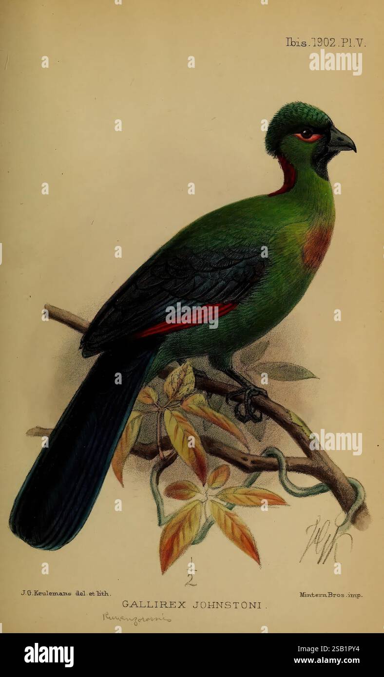 Detailed markings indicate hi-res stock photography and images - Alamy