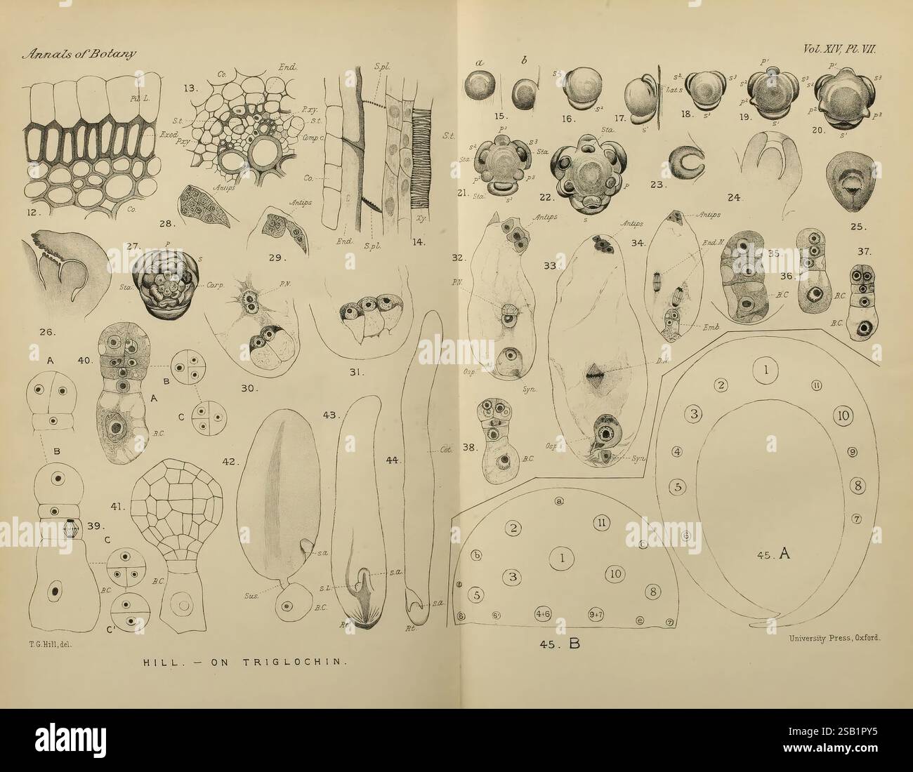 Incorporating numbers hi-res stock photography and images - Alamy