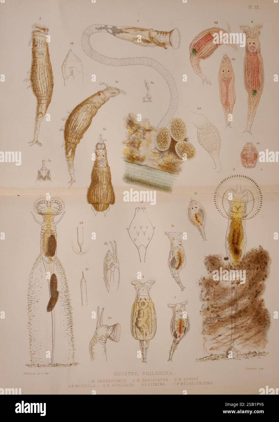 Streamlined figures hi-res stock photography and images - Alamy