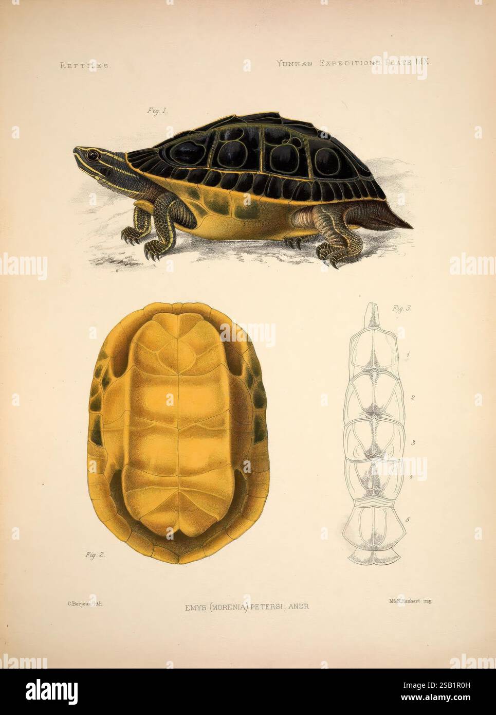Schematic drawing outlines hi-res stock photography and images - Alamy