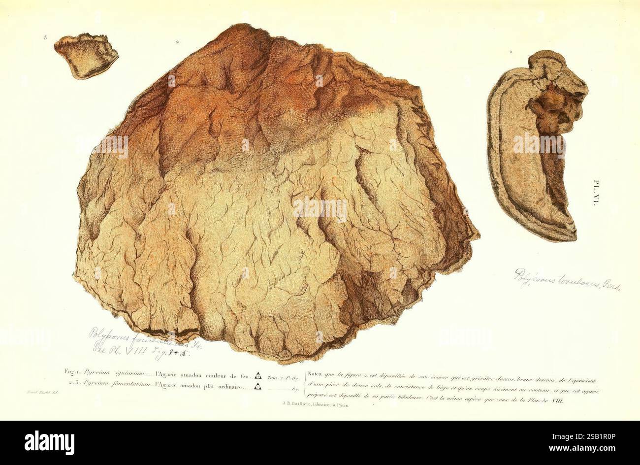 Geological structure rendered hi-res stock photography and images - Alamy