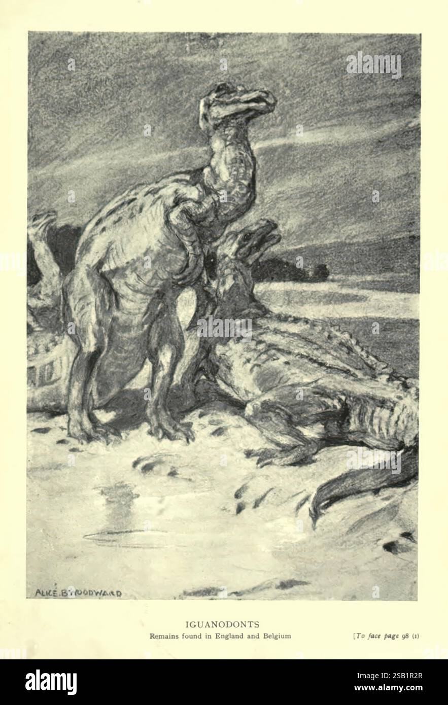 Evolution in the past London Herbert and Daniel 1912 Evolution ...