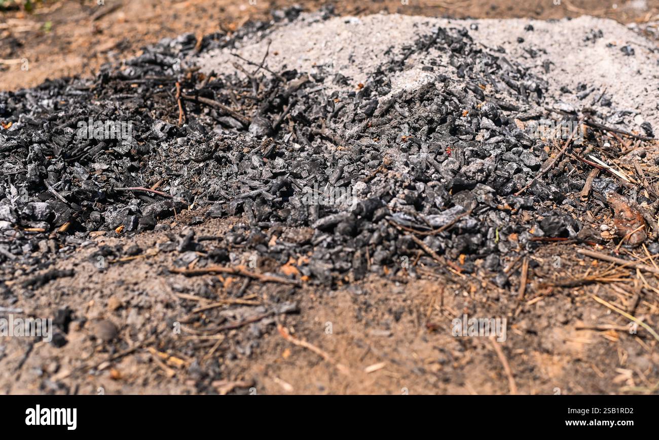 Up from the ashes hi-res stock photography and images - Alamy