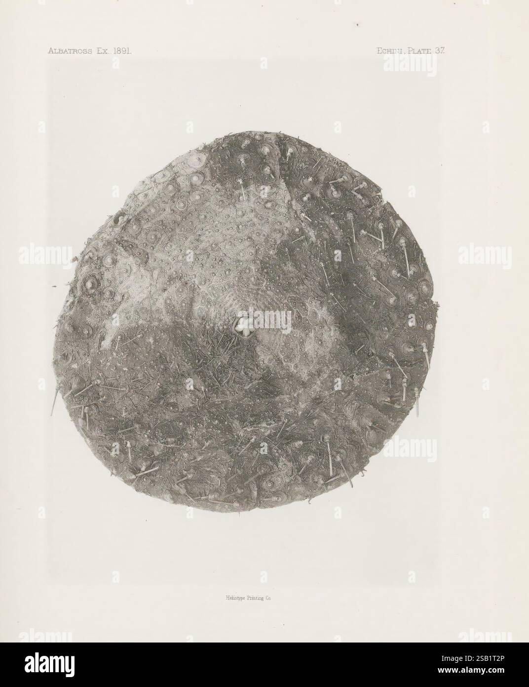 Indented markings hi-res stock photography and images - Alamy