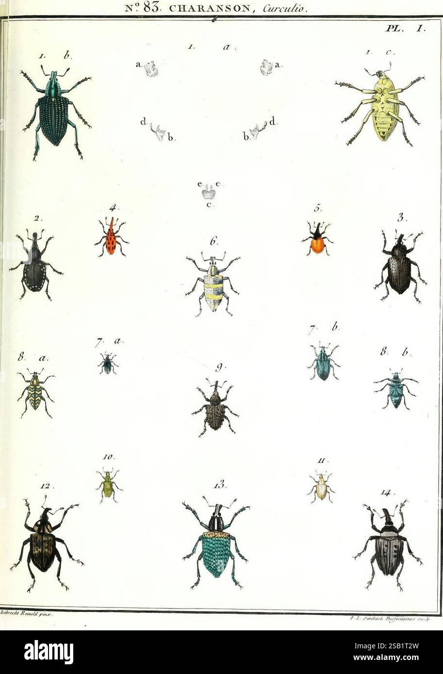 Entomologie ou Histoire naturelle des insectes, Paris, Imp. Baudouin ...
