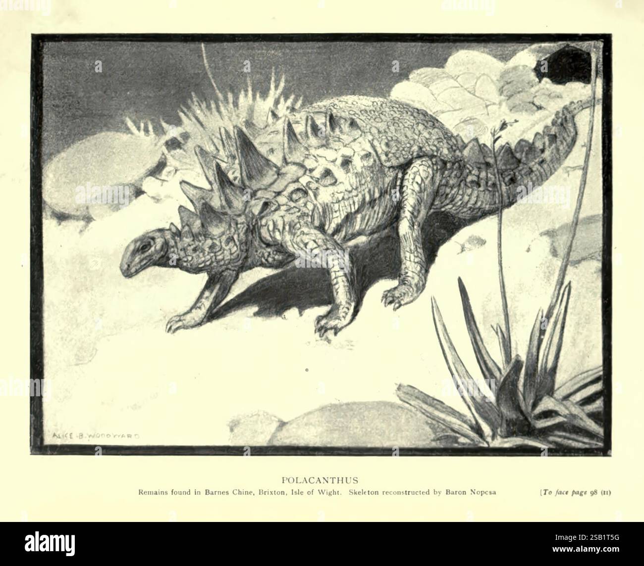 Evolution in the past, London, Herbert and Daniel, 1912, evolution ...