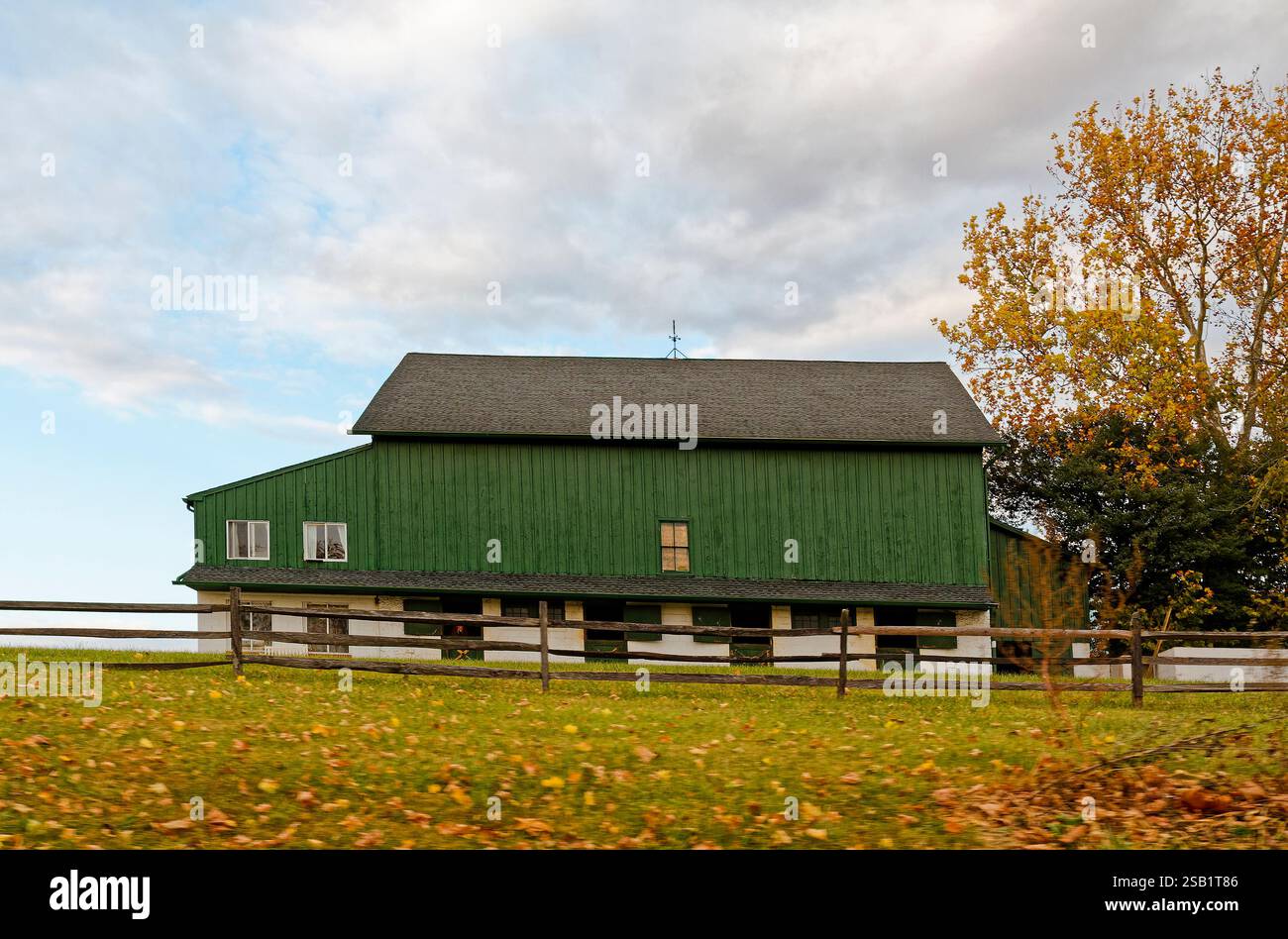 barn, green wood, 4 doors, grass, trees, fall colors, leaves, wood ...