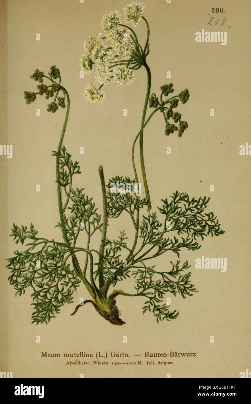 Atlas der Alpenflora, Wien, Alpenvereins, 1882, alps, atlases, mountain ...
