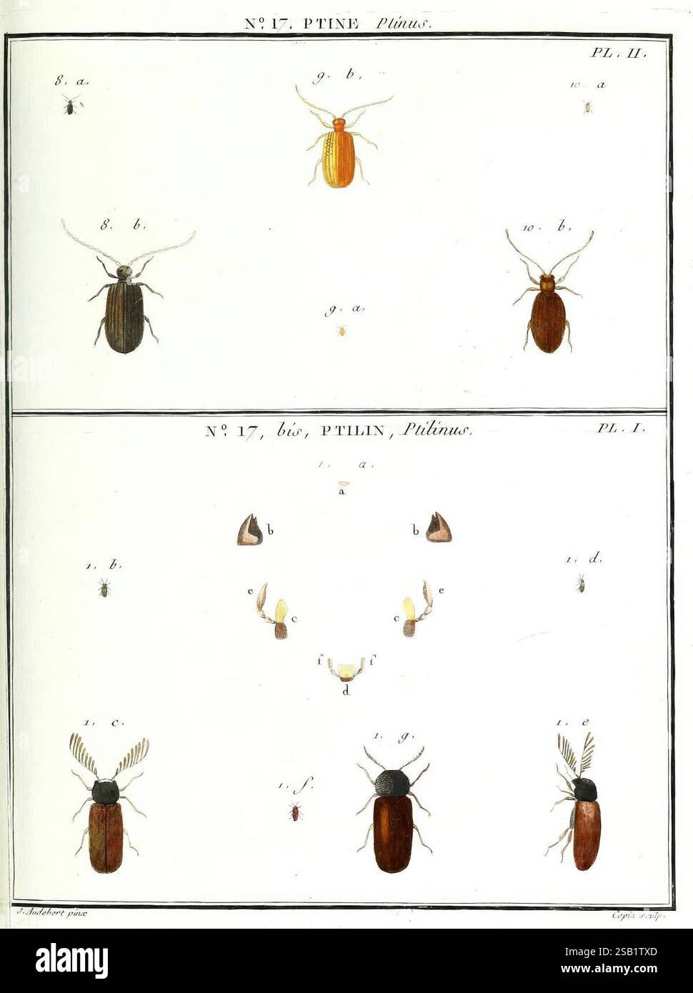 Entomologie ou Histoire naturelle des insectes, Paris, Imp. Baudouin ...