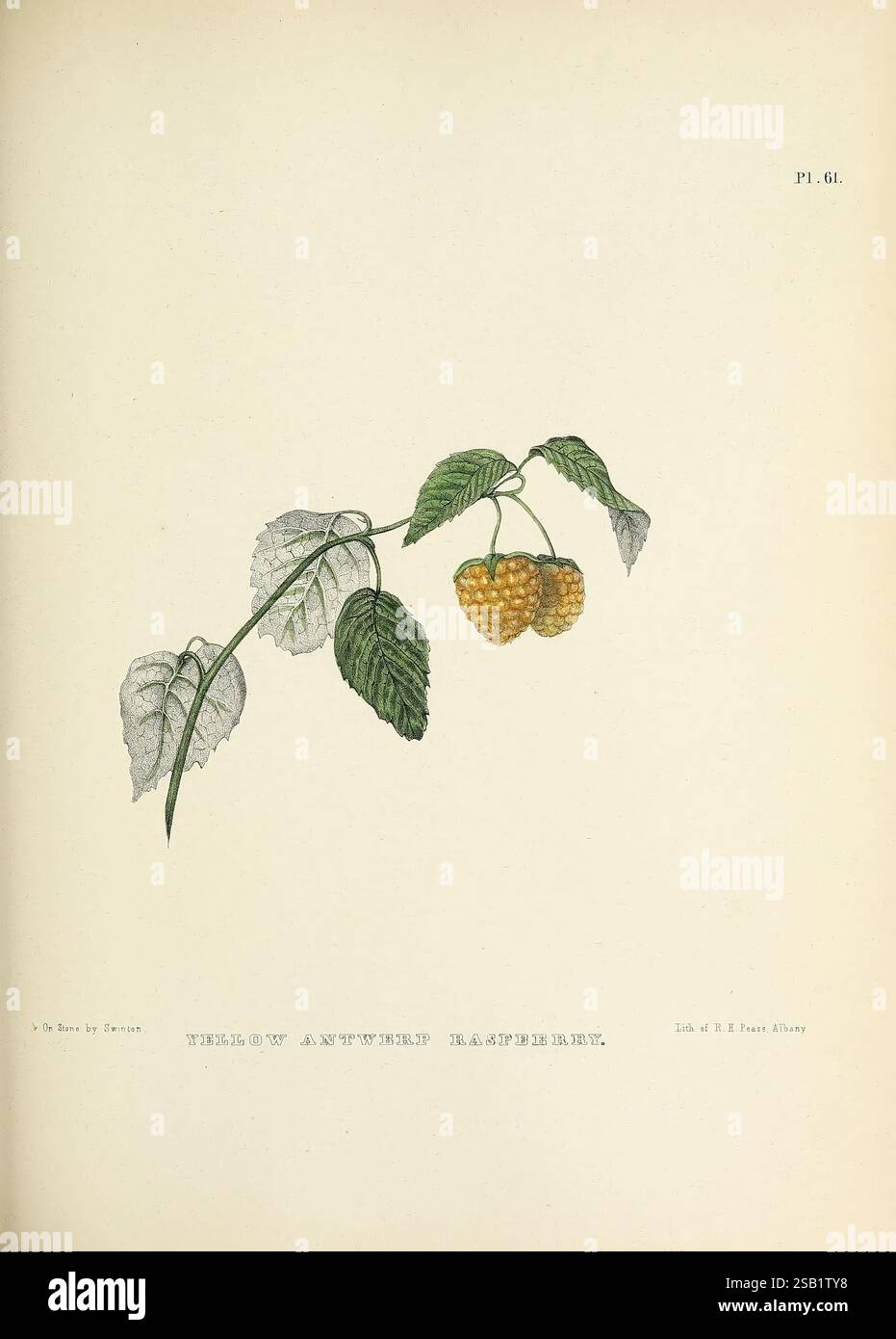 Unembellished space hi-res stock photography and images - Alamy