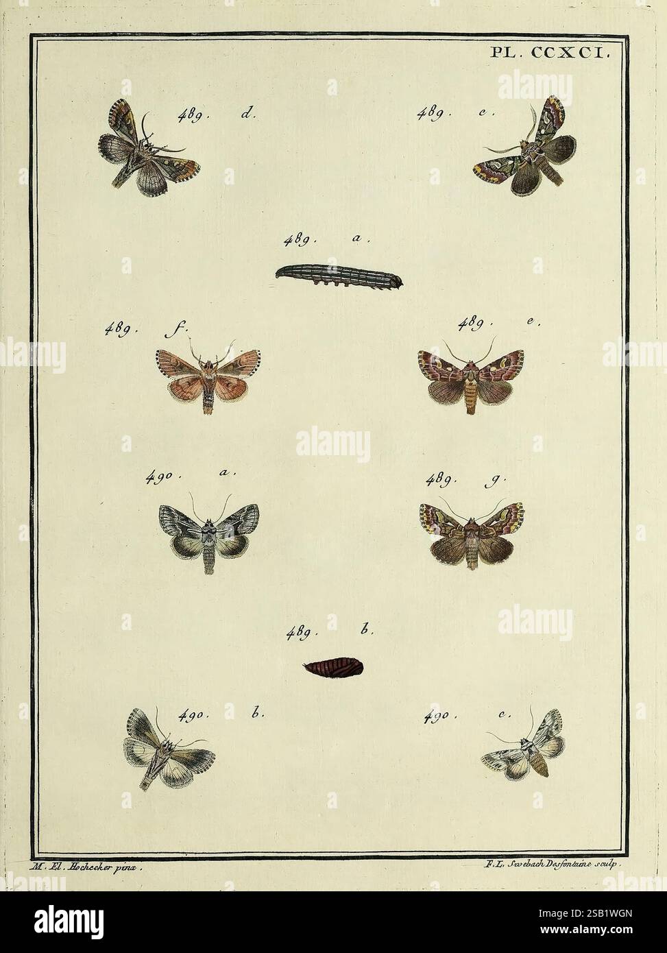 Delicately labeled hi-res stock photography and images - Alamy