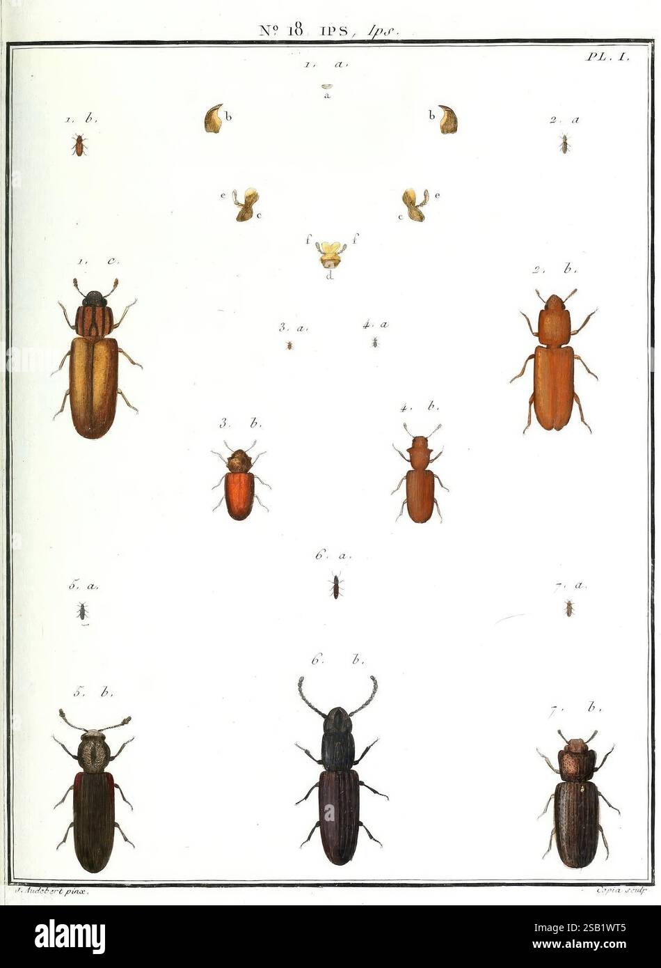 Entomologie ou Histoire naturelle des insectes, Paris, Imp. Baudouin ...