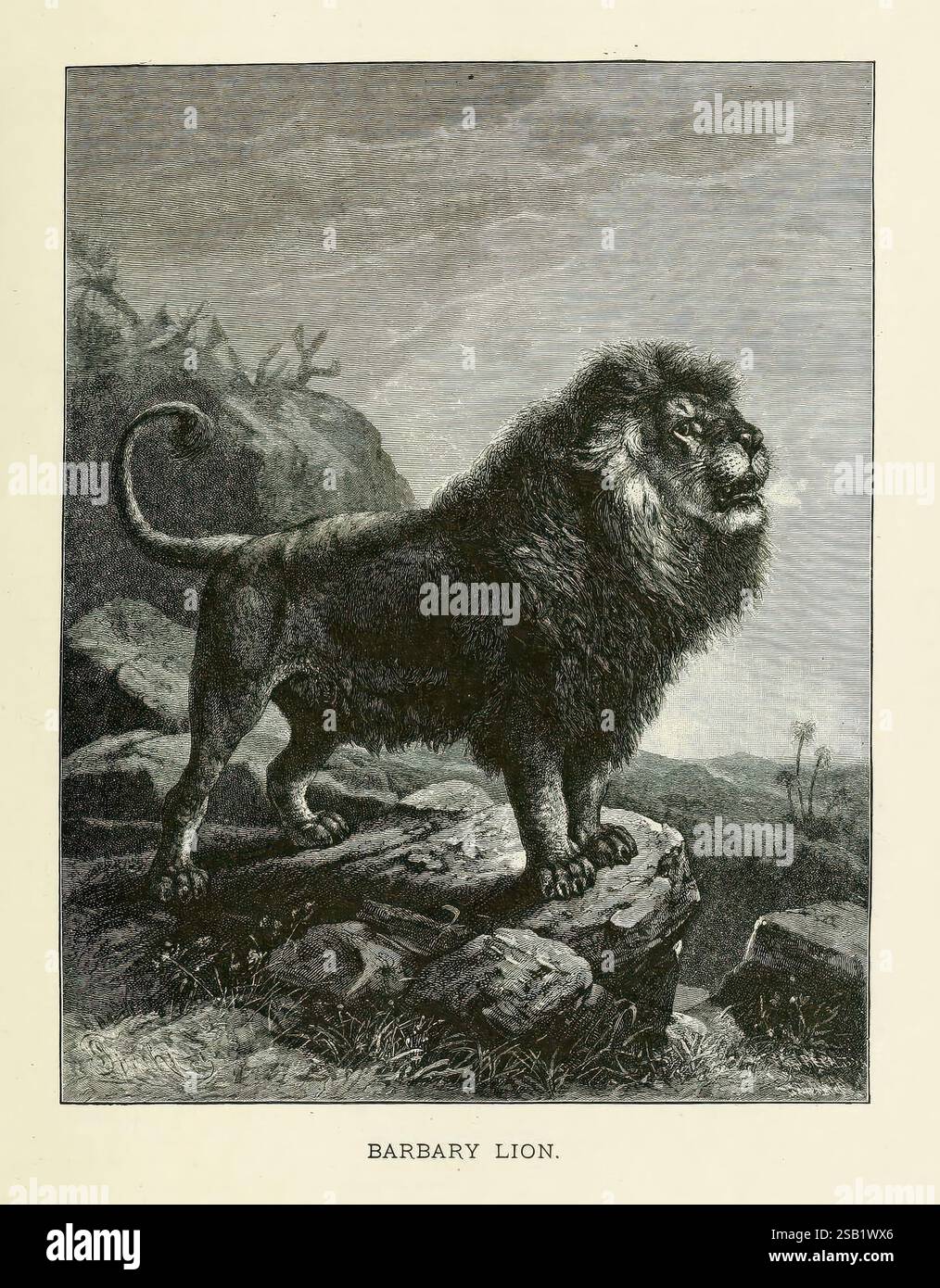 Our, living, world New York, S. Hess, [1885], pictorial, works, zoology ...