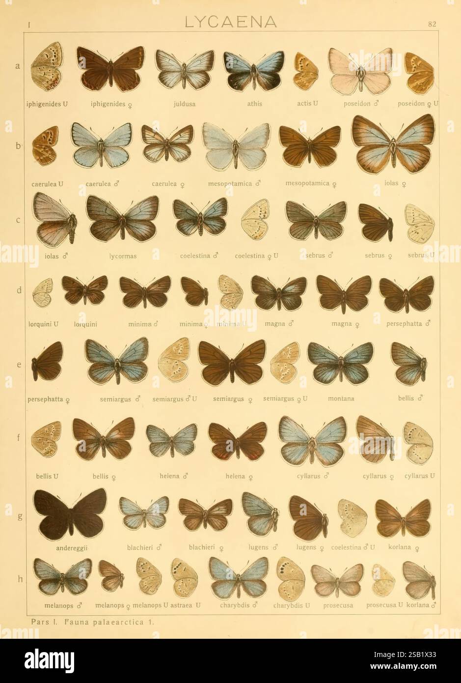 Classification noted hi-res stock photography and images - Alamy