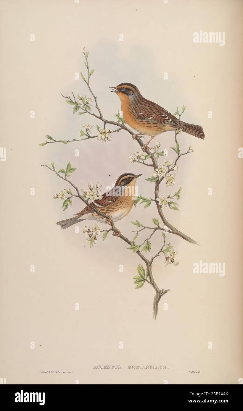 Curious expressions add hi-res stock photography and images - Alamy