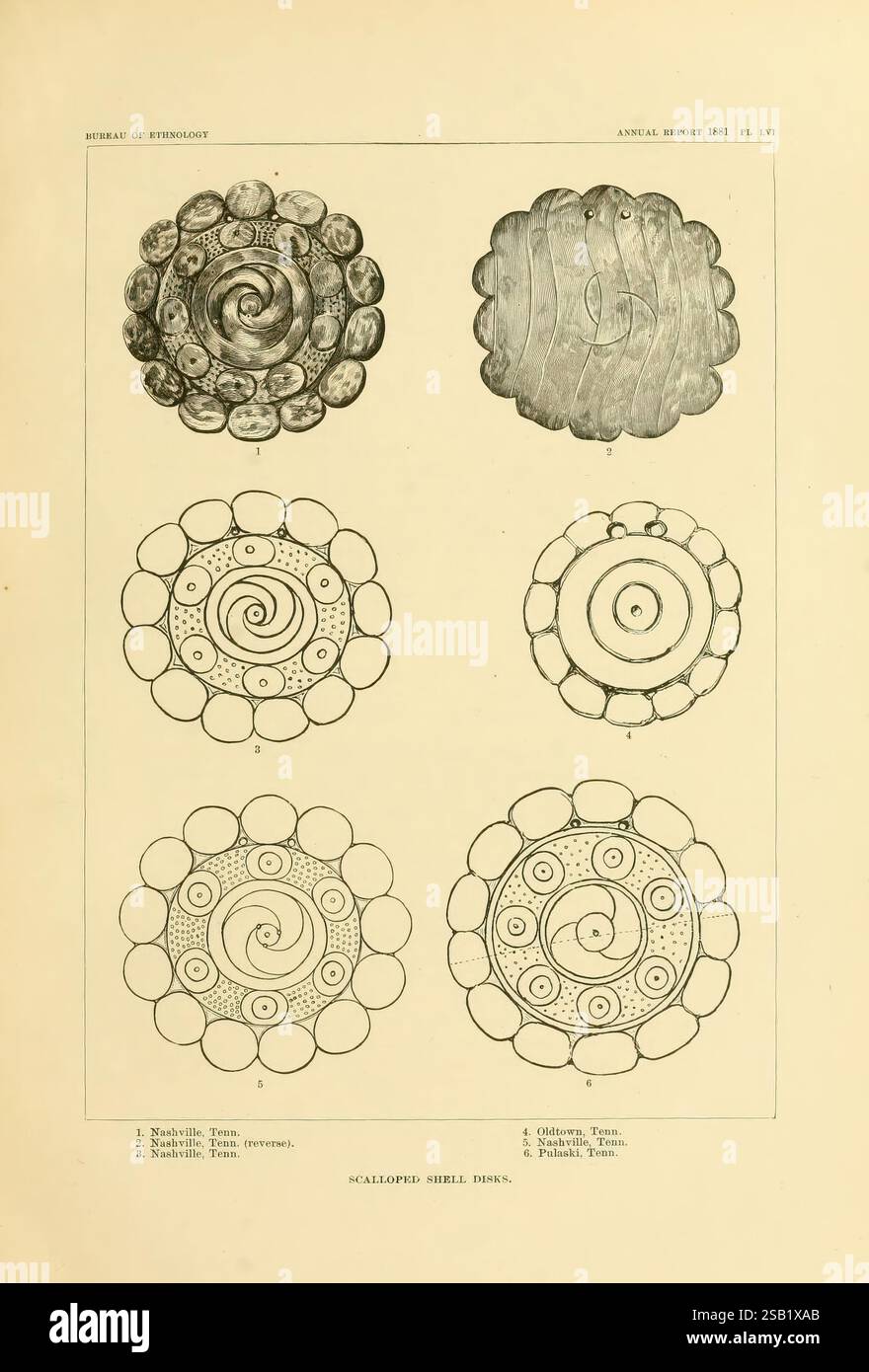 Holmes kate clifton osgood joseph jones taxonomy kate clifton os hi-res ...