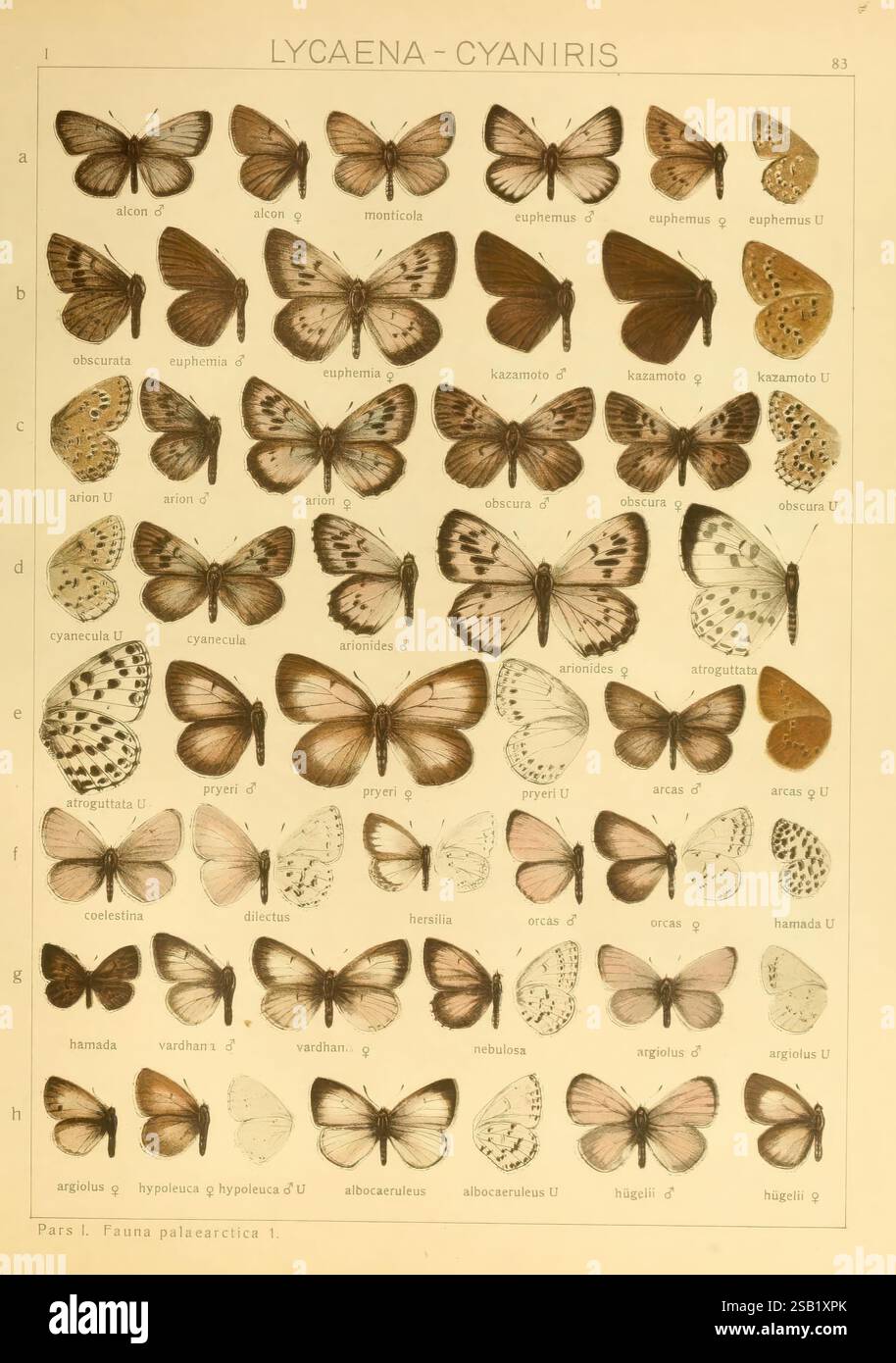 Additional identification markings hi-res stock photography and images ...