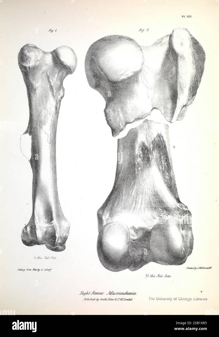 Elongated shaft hi-res stock photography and images - Alamy