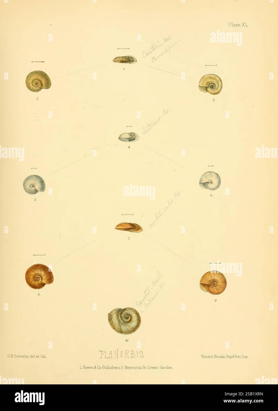 Visual layout highlights hi-res stock photography and images - Alamy