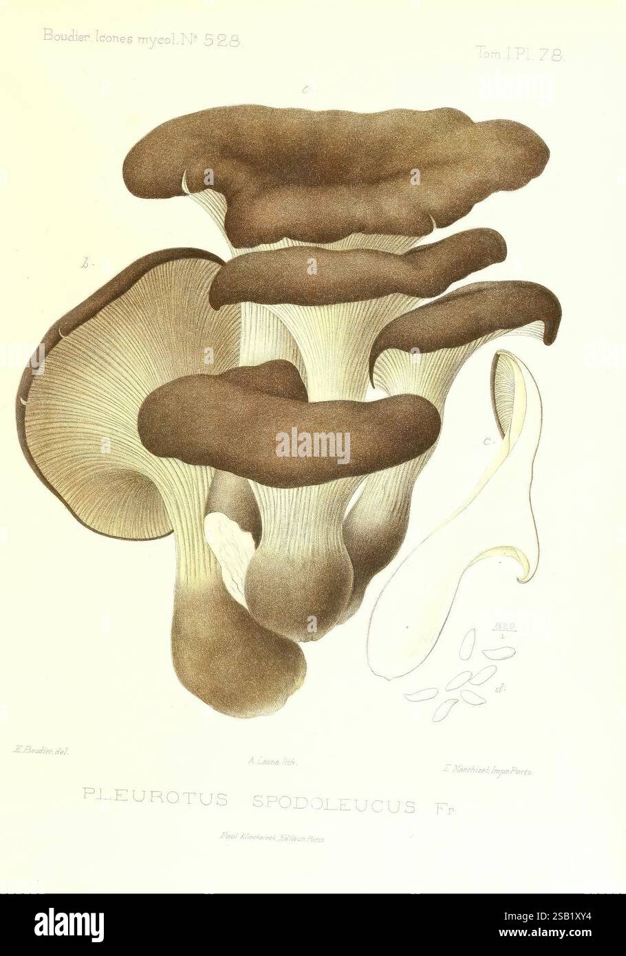 Rendered details highlight hi-res stock photography and images - Alamy