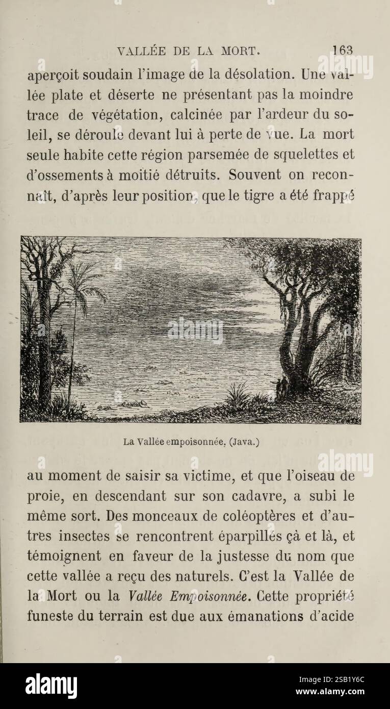 Somber themes hi-res stock photography and images - Alamy