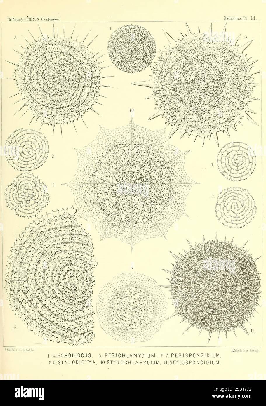 Detailed renderings feature complex geometric patterns hi-res stock ...