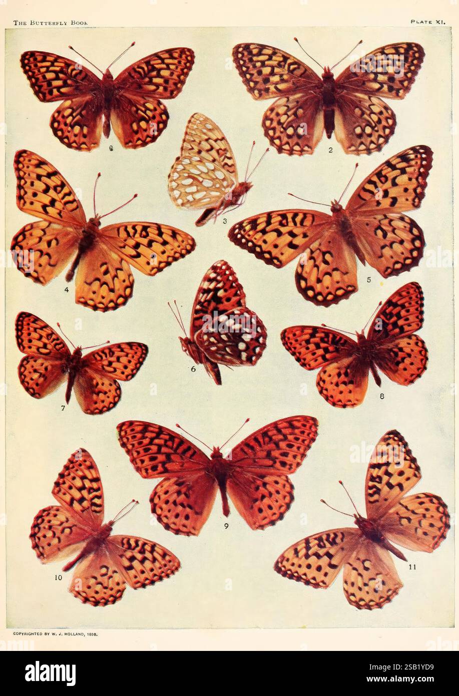 Informative example hi-res stock photography and images - Alamy