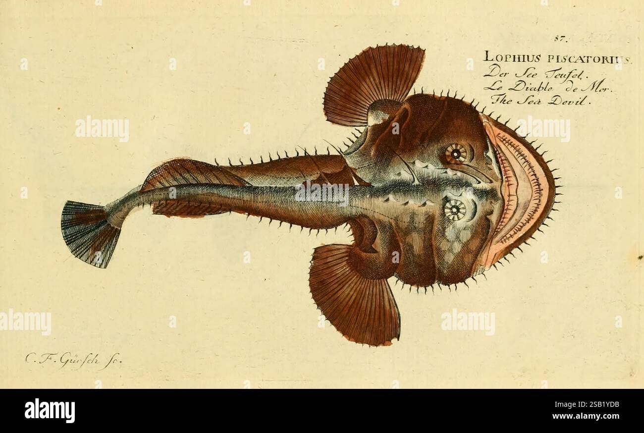 Lure extends hi-res stock photography and images - Alamy