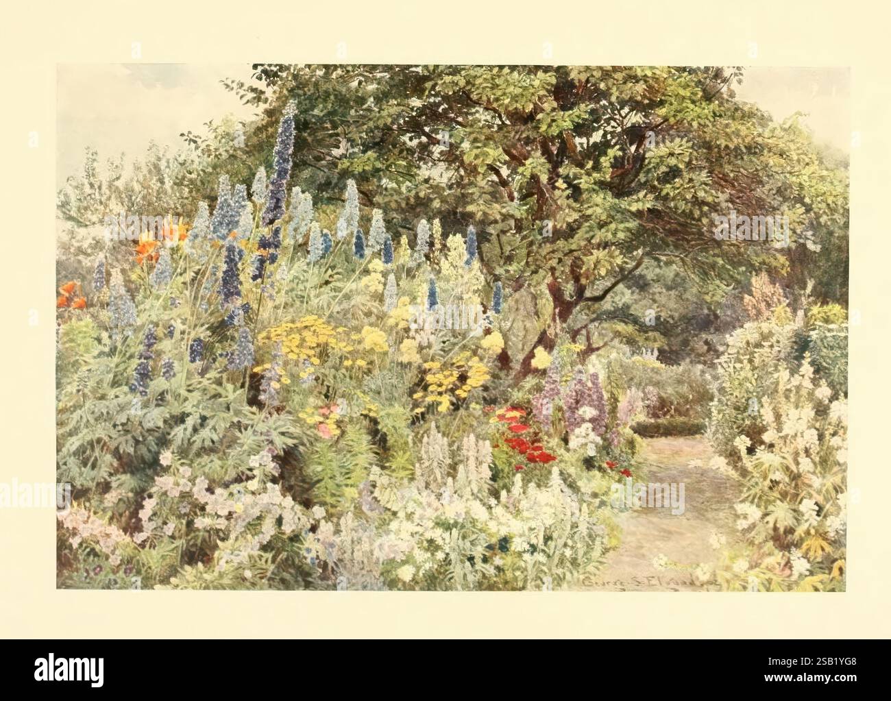 Some, English, gardens, and, Bombay, Longmans, Green & Co, 1904 ...