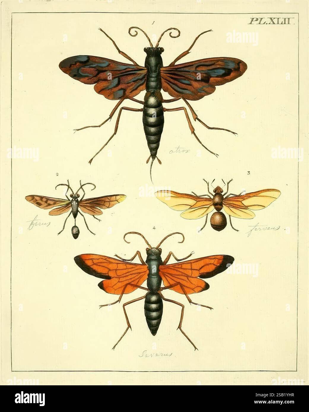 Illustrations of natural history, London, Printed for the author and ...