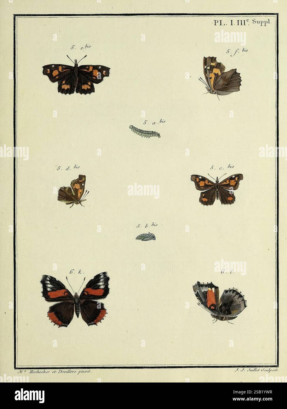 Papillons d'Europe, peints d'après nature, A Paris, Chez P.M ...