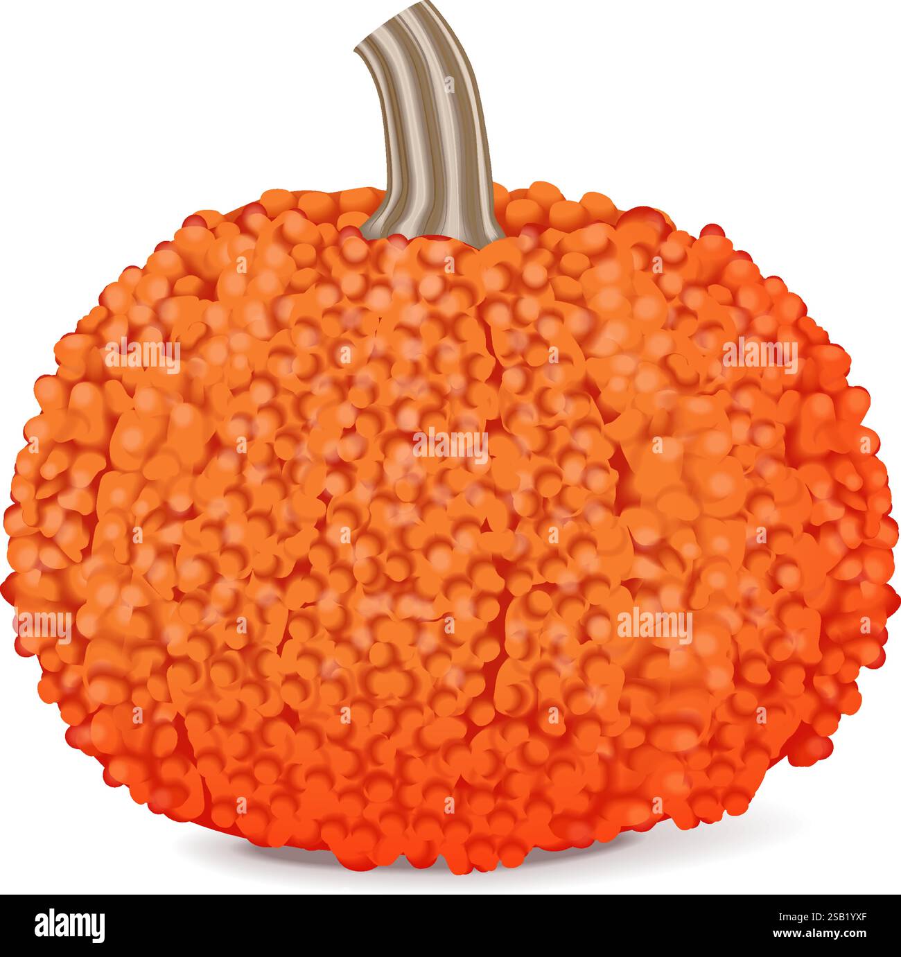 Red Warty Thing Pumpkin. Winter squash. Cucurbita maxima. Fruits and ...