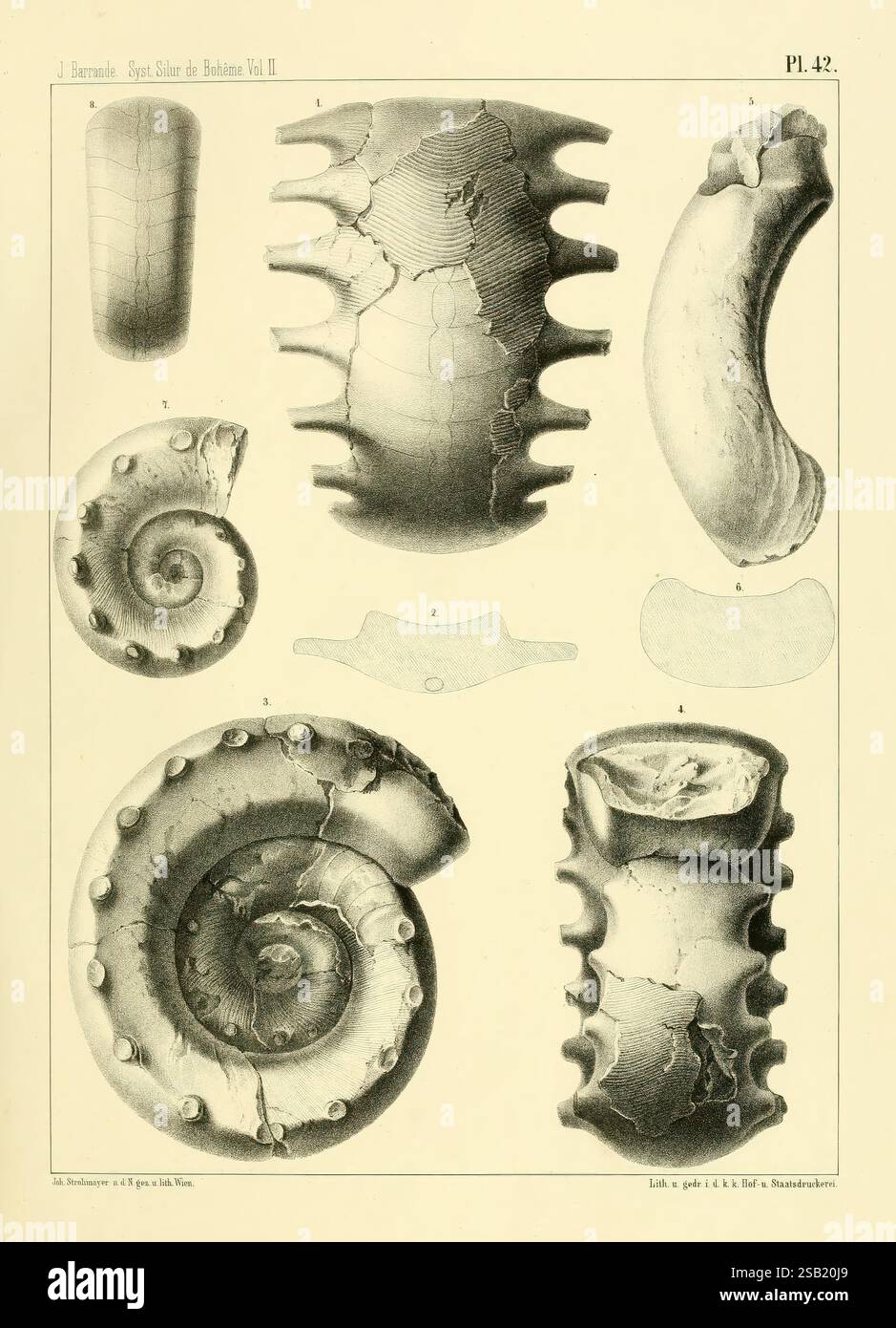 Systême silurien du centre de la Bohême, Prague, Chez l'auteur,1852 ...
