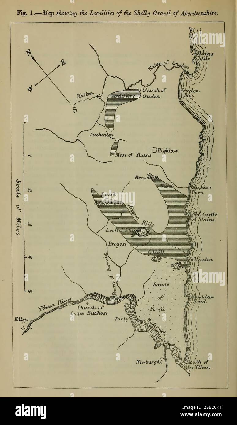 Shelly gravel hi-res stock photography and images - Alamy