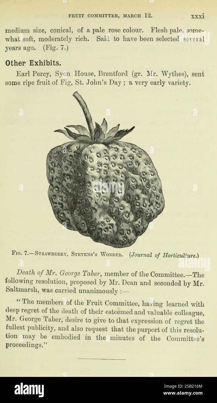 Stevenss wonder hi-res stock photography and images - Alamy