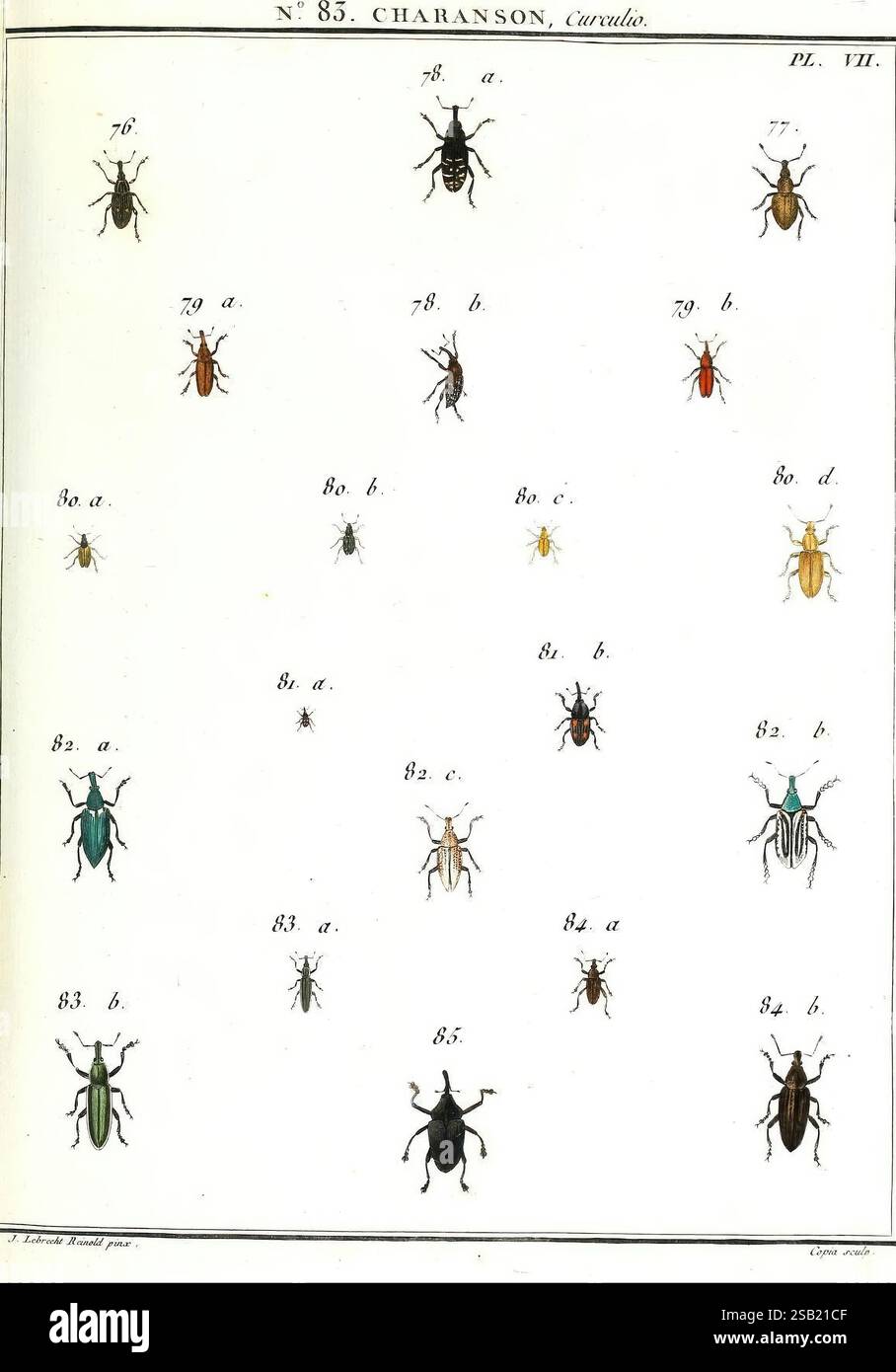 Entomologie ou Histoire naturelle des insectes, Paris, Imp. Baudouin ...