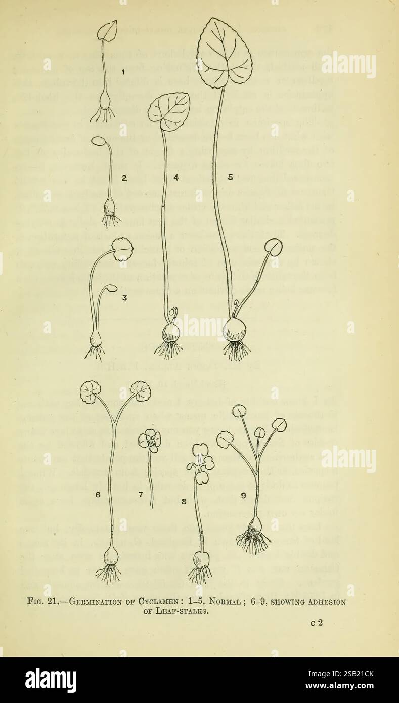 Journal of the Royal Horticultural Society of London, London, Printed ...
