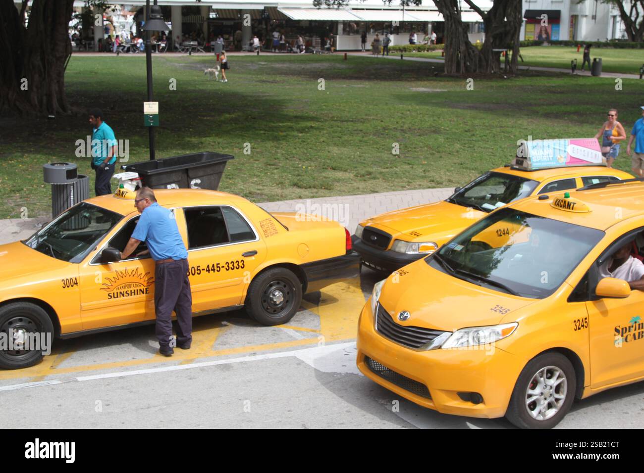 Miami: Taxi cab drivers waiting for passengers in Miami Florida on Mar ...
