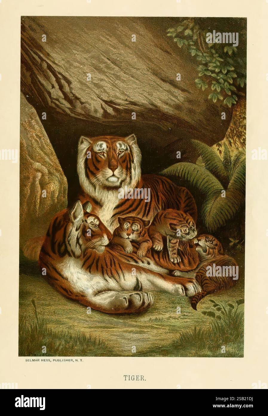 Playfully sprawled hi-res stock photography and images - Alamy