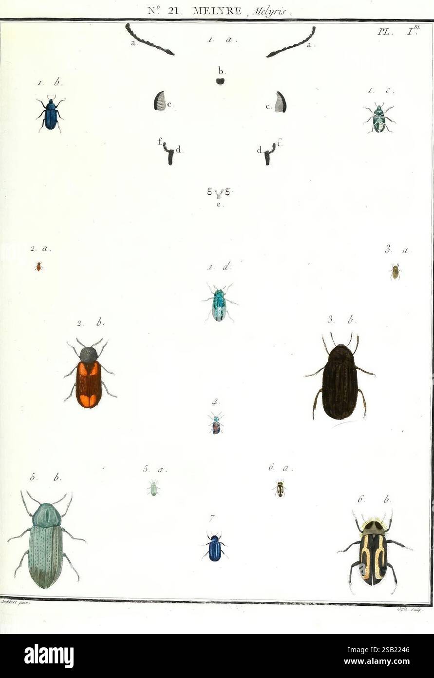 Entomologie ou Histoire naturelle des insectes, Paris, Imp. Baudouin ...