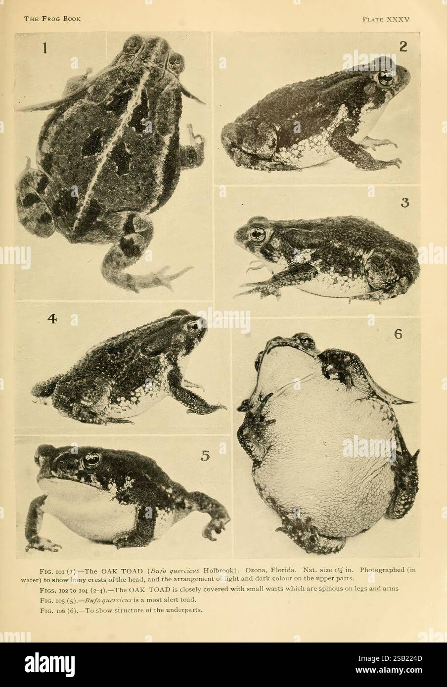 Fourth panels focus hi-res stock photography and images - Alamy