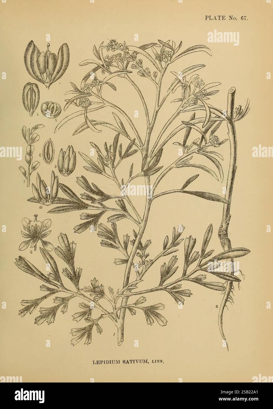 Garden pods office hi-res stock photography and images - Alamy