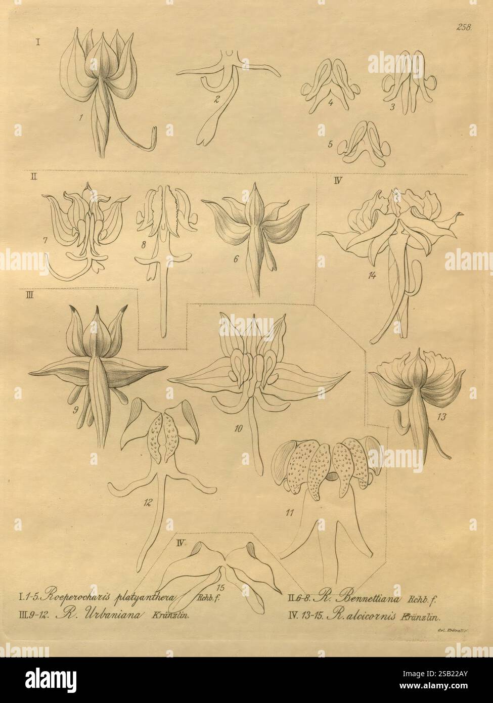 Featuring labeled diagrams hi-res stock photography and images - Alamy